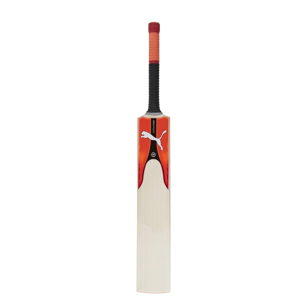 PUMA Evospeed 6.17 English Willow Cricket Bat - need1.com.au