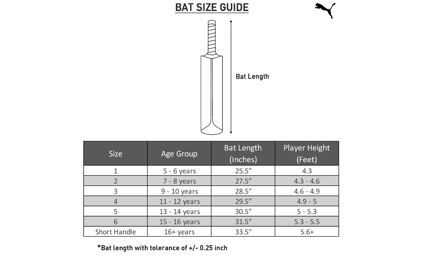 PUMA Evospeed 6.17 English Willow Cricket Bat - need1.com.au